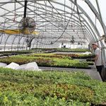 Growing the Farm -- Spaces4Learning